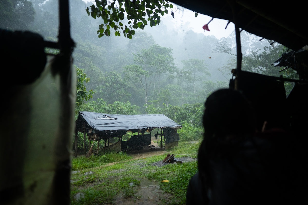 The MONTZI Story | BORN IN THE ALPS (but how?)